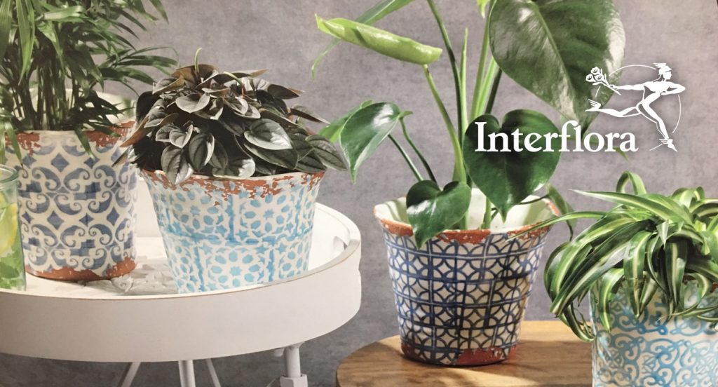 Interflora en Revista AD – Biggers comunicación